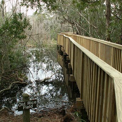 Sea Pines Community Services Associates › Hiking