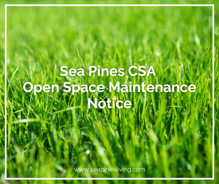 Sea Pines Community Services Associates › Sea Pines CSA Open Space ...